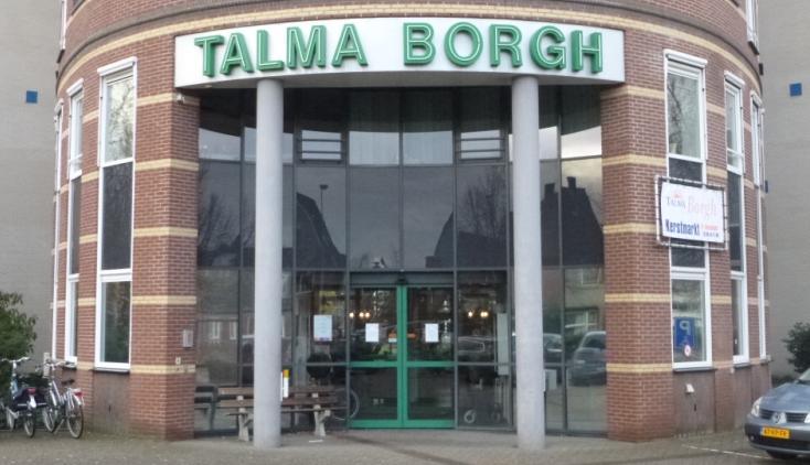 Zorginstelling Talma Borgh: activerend medewerkersonderzoek - Wilms ...